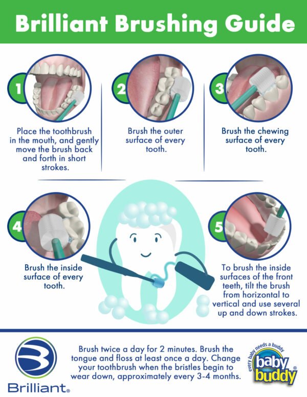 The Toothbrush • Brilliant Oral Care